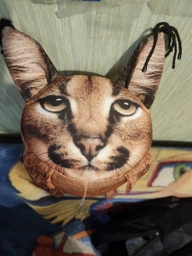 М'яка іграшка антистрес WONKEY Рись Шльопа 30см 33035 – іграшки з доставкою від ROZETKA