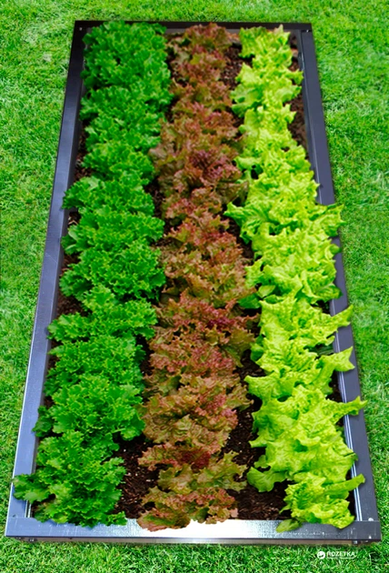 Грядка Контур Рент (800.1.2) – купить онлайн на ROZETKA