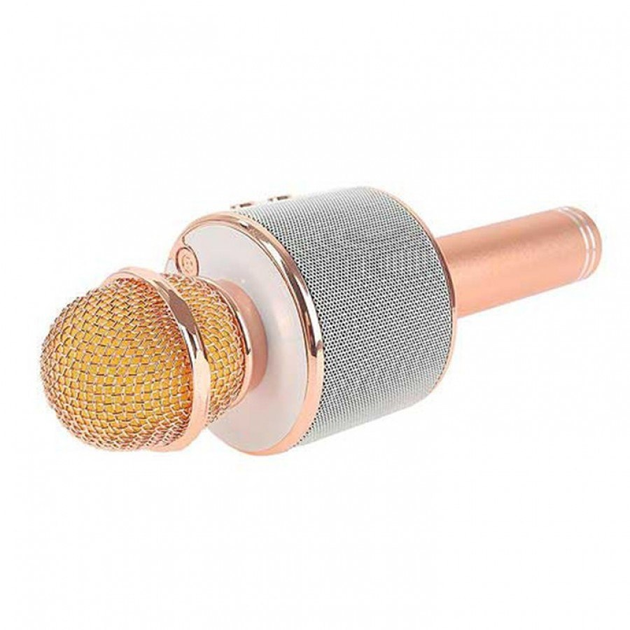 Детский беспроводной микрофон караоке + Колонка Wster WS858 Original ...