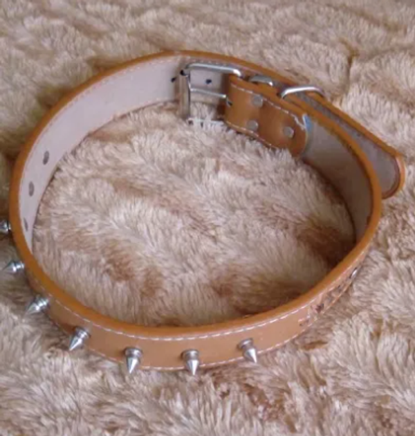 Ошейник с шипами ld090 Lockdog L (45-55 см) (zoo0000425) Бежевый от ...