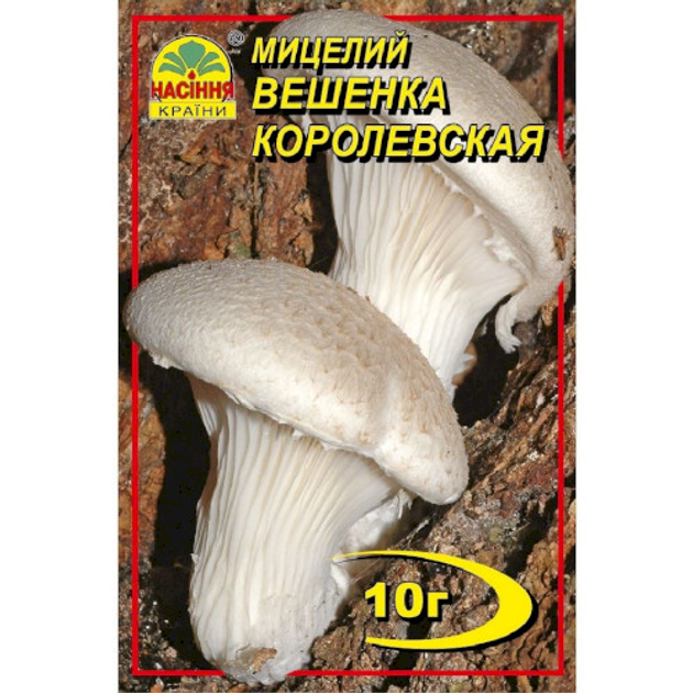 Вешенка королевская - ROZETKA | Купить недорого мицелий вешенки ...