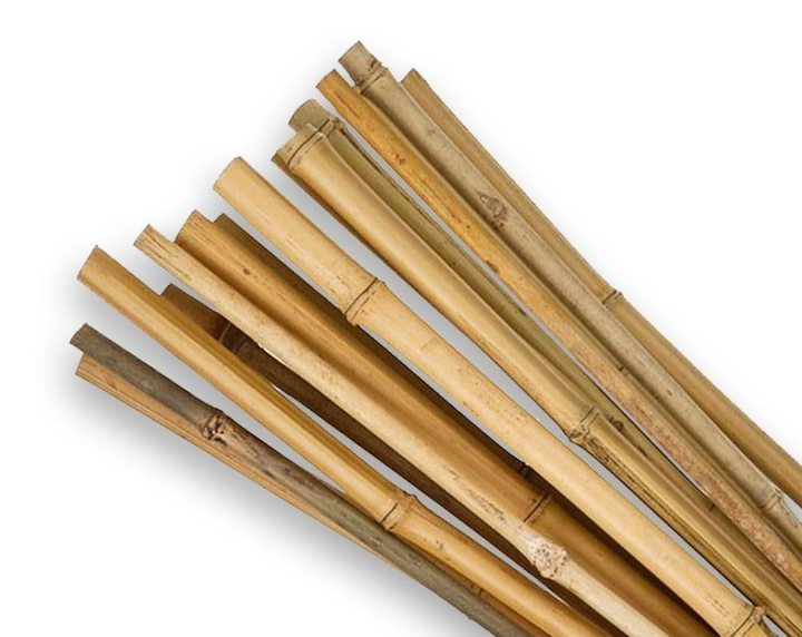 Бамбукова палиця, опора Bamboo 150 см д. 12-14 мм – фото, відгуки ...