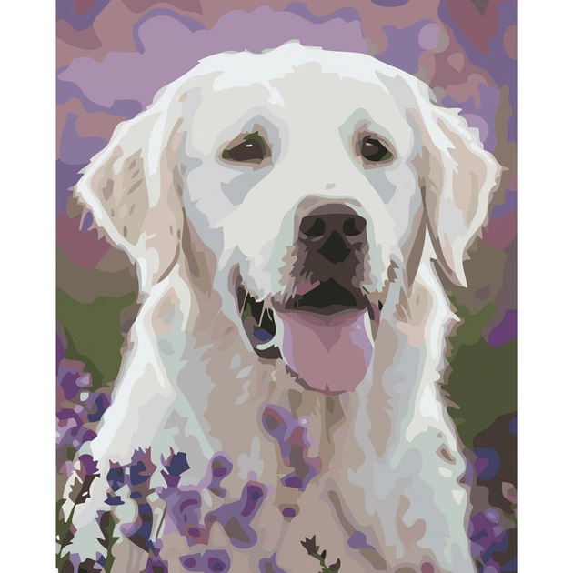 Картина по номерам Лабрадор в цветочном поле 40х50 см SY6116 – низкие ...