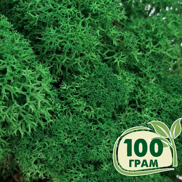 Стабилизированный мох ягель Nordic moss Зеленый травяной темный 100 ...