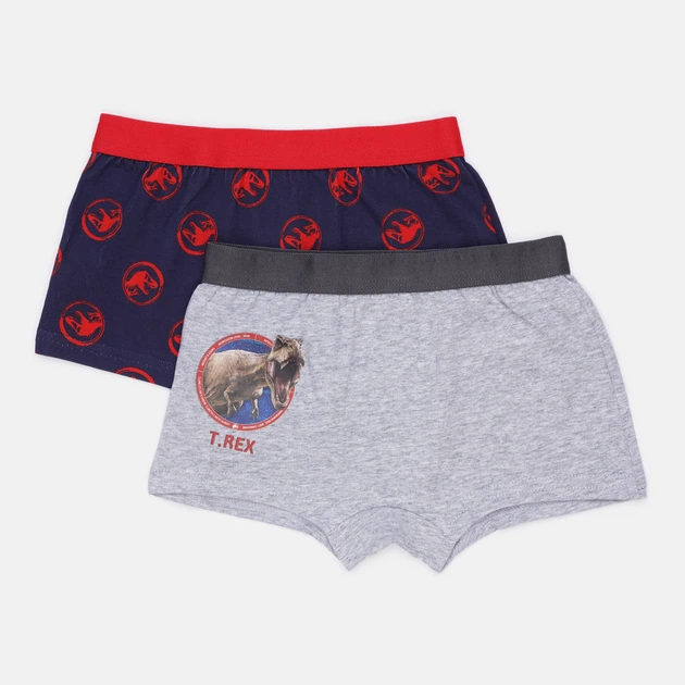 Набор трусов для мальчика Disney 2 шт Jurassic W VH3023 104-110 см 4-5Y Нави/Серый ...