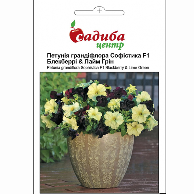 Петуния Софистика - ROZETKA | Купить семена петунии Софистика в Киеве ...