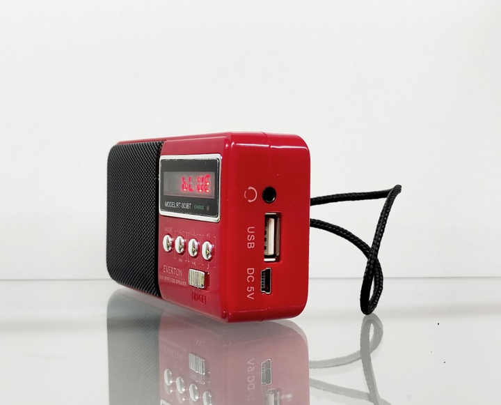 Радиоприемник FM/Bluetooth/USB/SD RT-303BT аккумулятор – фото, отзывы ...