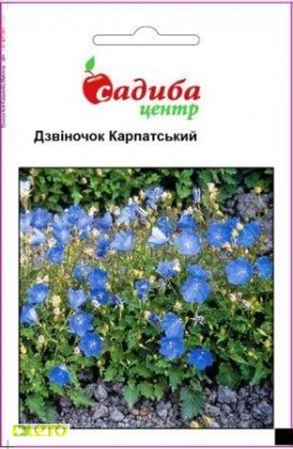 Колокольчик Карпатский - ROZETKA | Купить семена колокольчика ...