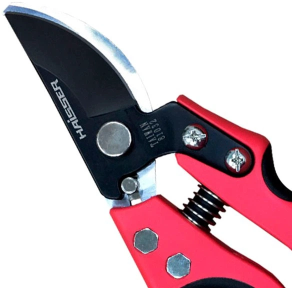 Секатор садовый Haisser 210 мм 81032 (107523) – фото, отзывы, характеристики в интернет-магазине ...
