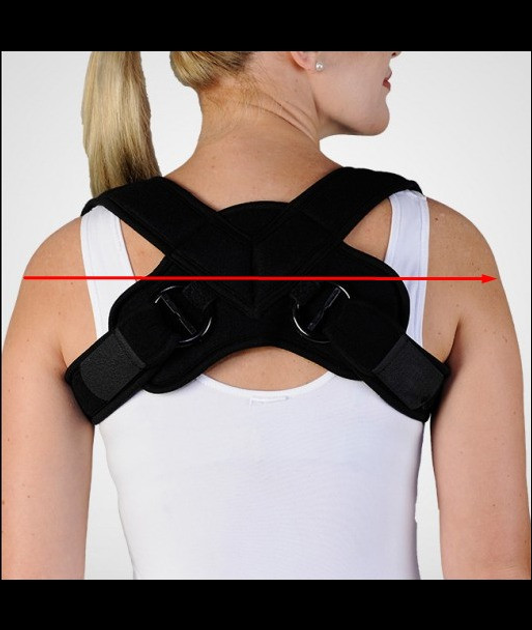 Бандаж для ключицы при переломе Кольца Дельбе Orthopoint SL-04 XL ...