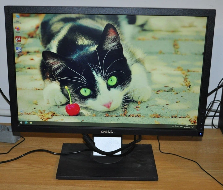 Монитор Dell Professional P2210f / 22'' (1680x1050) TN / VGA, DVI, USB ...