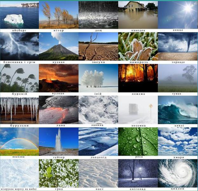 Карточки Природа - ROZETKA. Купить недорого карточки Природа для детей ...