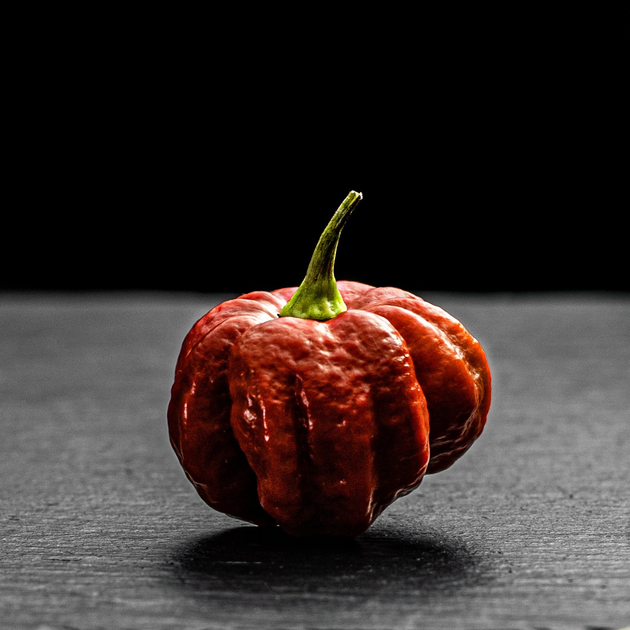 Семена перца Скорпион (Scorpion) карамельный – купить онлайн на ROZETKA