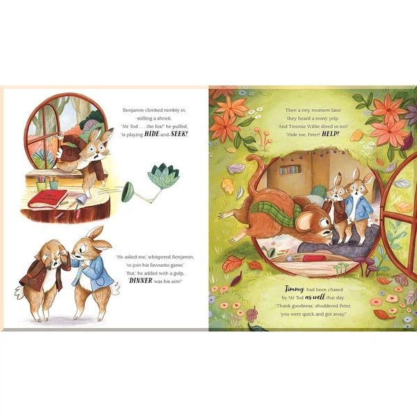 Puffin Peter Rabbit: Hide and Seek!. Rachel Bright, Nicola Kinnear ...