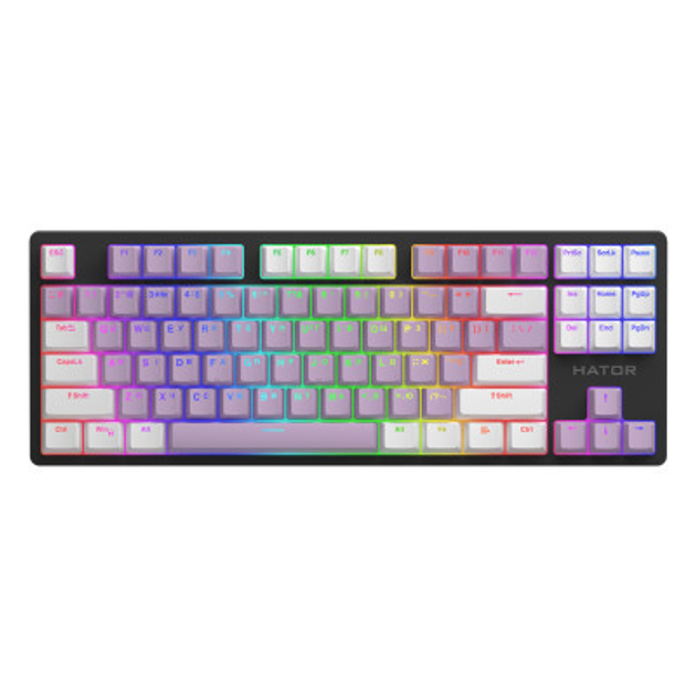 Клавиатура Hator Rockfall 2 Mecha Signature Edition USB Black/Lilac ...