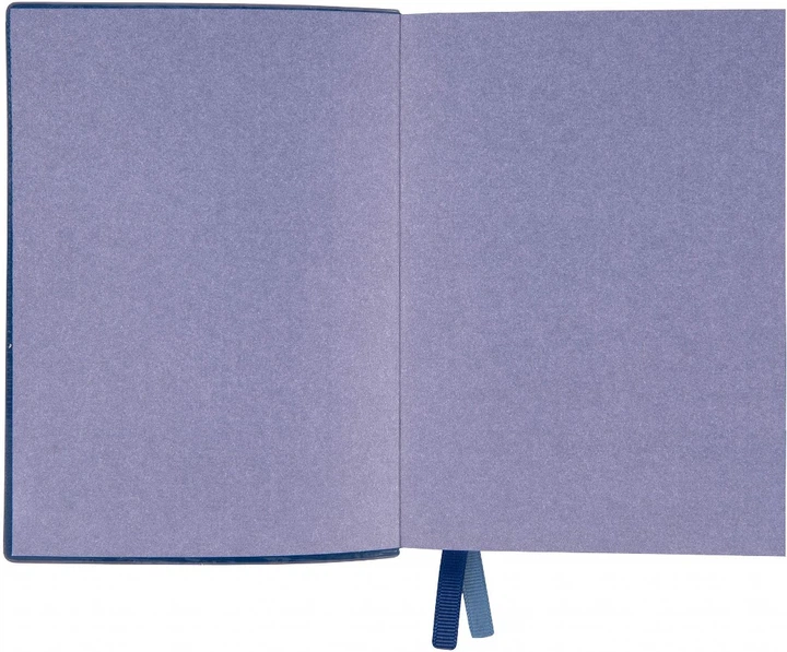 Щоденник датований Leo Planner Apiro А6 352 сторінки Синій (252599 ...