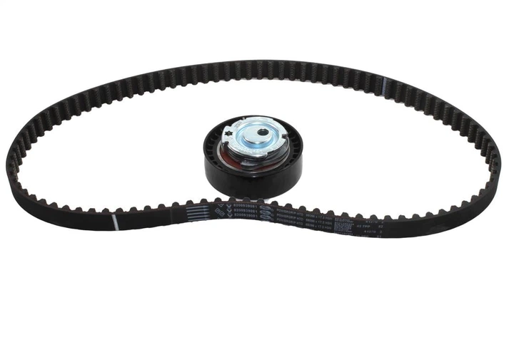 Комплект ГРМ Kangoo/Logan 1.6 и 08- Renault (130C17480R) – фото, отзывы ...