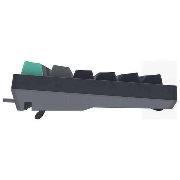 Клавіатура A4Tech Fstyler FS300 Panda Rock Climbing – фото, відгуки ...