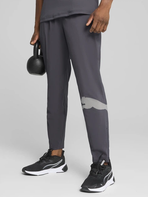 Спортивные штаны мужские Puma Tad Big Logo Woven Pant 52672569 S ...