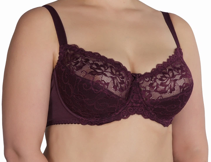 Бюстгальтер Elita 296 80D Сливовый (29680DP) – Брендовая одежда | ROZETKA