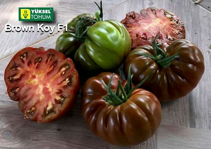 Браун Кой F1 Томат Індетермінантний Leda Agro 5 шт – низкие цены ...