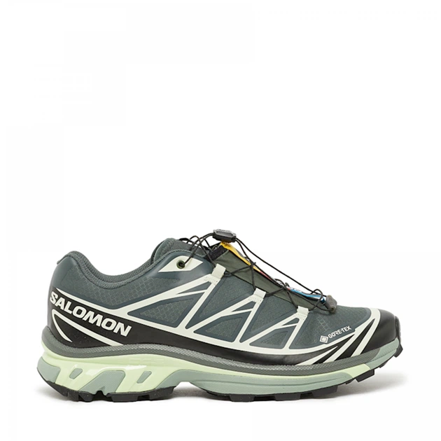 Жіночі кросівки Salomon XT-6 GORE-TEX Urban Chic/Black/Lime Cream 41 ...