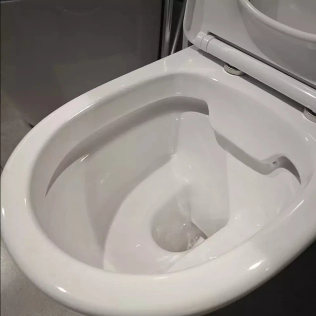 Унітаз-компакт Devit Basic Round 3020147 із сидінням Soft Close дюропласт – фото, відгуки ...