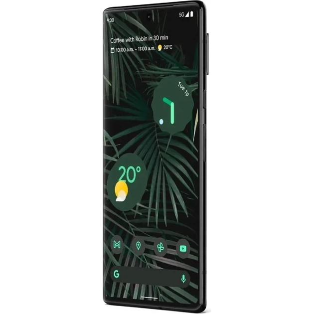 Мобільний телефон Google Pixel 6 Pro 256GB Stormy Black (2477197825 ...