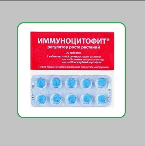 Биопрепарат Иммуноцитофит ГИНКГО 20 шт – фото, отзывы, характеристики в ...