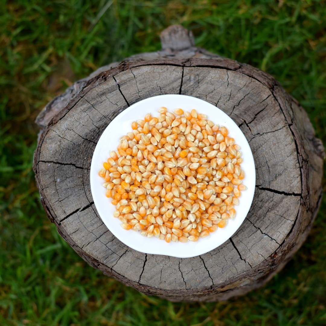 Кукуруза для попкорна 1кг. от продавца: Almond – купить в Украине ...