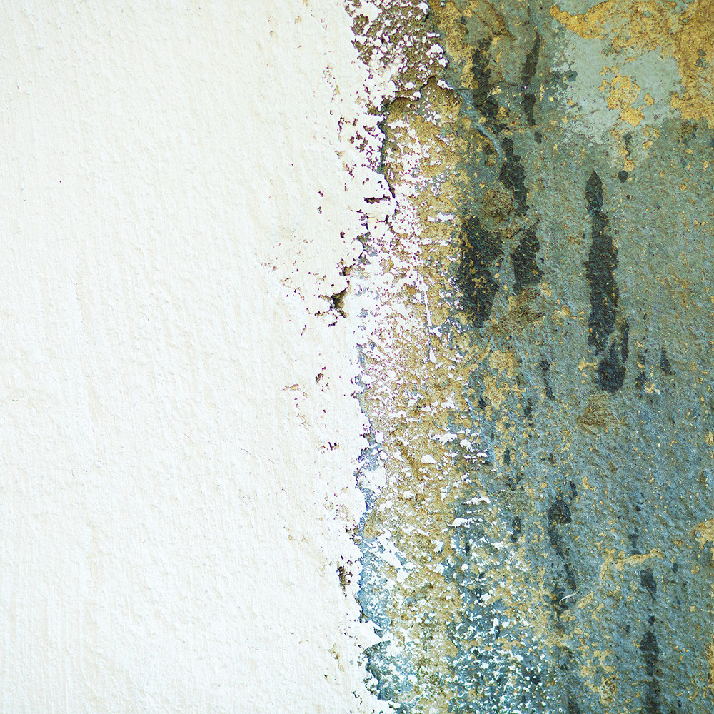 Виниловый фотофон 80x80см, Frontlit 450 г/м2 №55491 – низкие цены ...