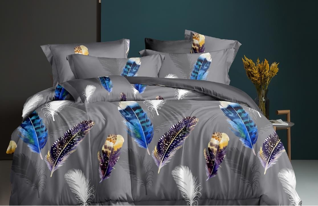 Двуспальный комплект постельного белья евро 200*220 ранфорс (F21453) TM ...