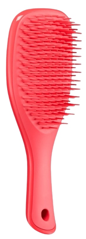 Rozetka.pl | Щітка для волосся Tangle Teezer The Wet Detangler Mini ...