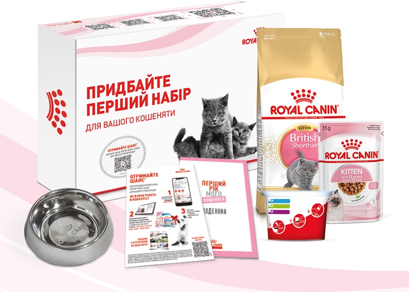 Подарунковий набір Royal Canin для кошенят породи британська ...