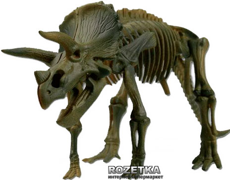 Скелеты динозавров -Трицератопс Dino Horizons (D132XTR-BA) – фото ...