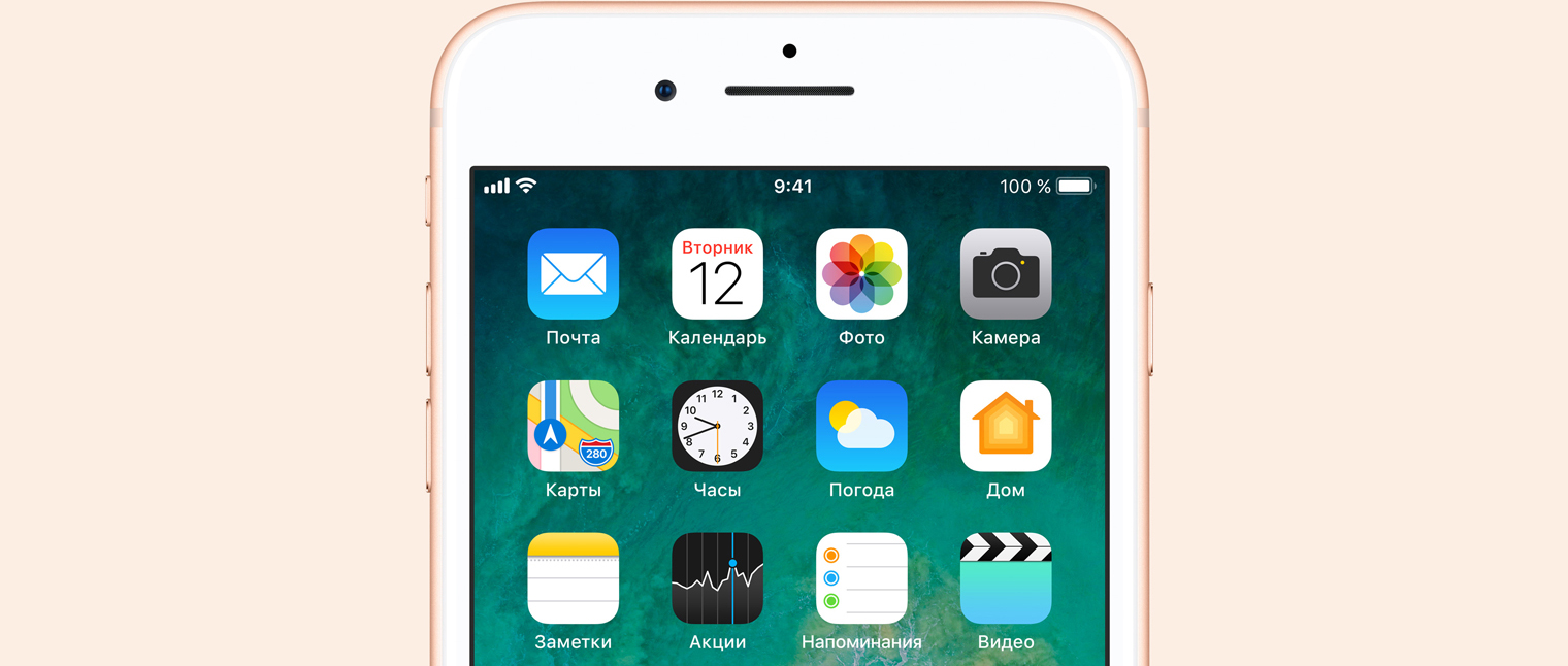 Мобильный телефон Apple iPhone 8 64GB Space Gray Официальная гарантия ...